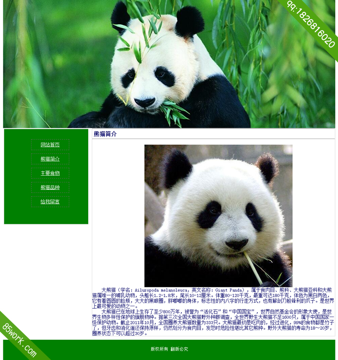 大熊猫html静态网页设计作业成品模板 学生网页设计制作作业 网页制作作业成品 网页设计作业 计算机毕业设计 Php作业 Asp作业 网页模板